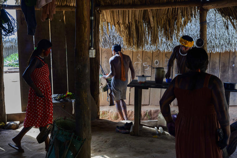 This village in Brazil is the last line of defence in a dying jungle