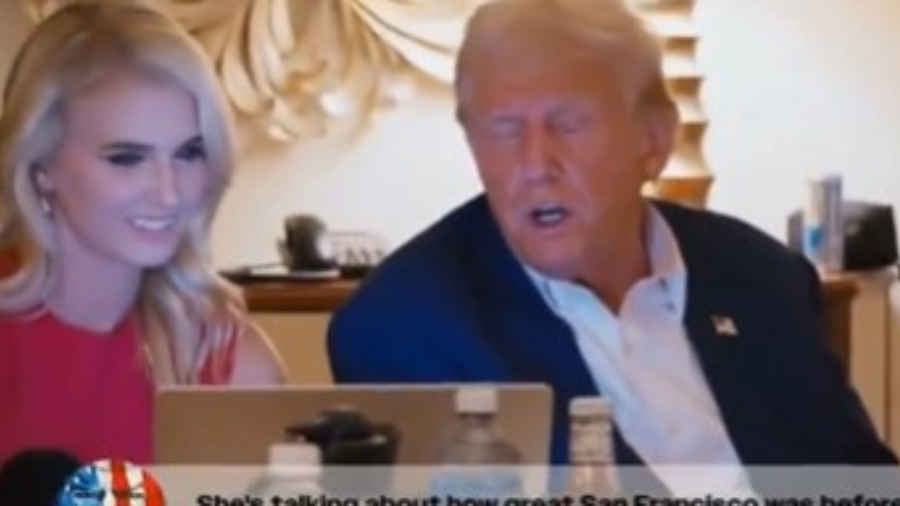 Where's Donald Trump's 'human printer', 'love struck' Natalie Harp ...