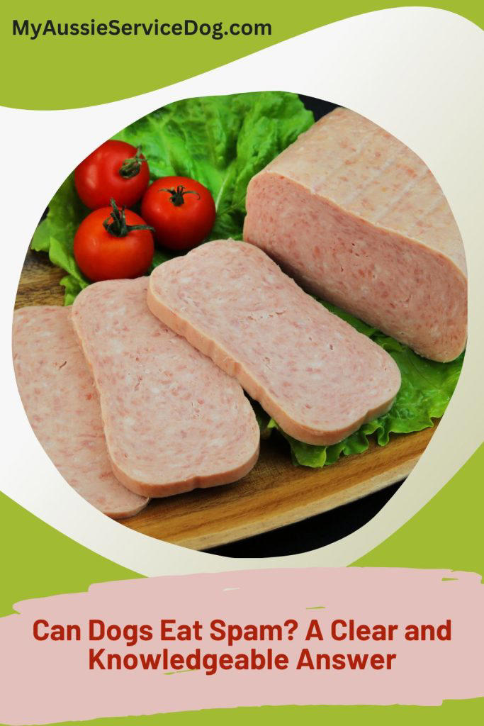 Can Dogs Eat Spam? A Clear and Knowledgeable Answer