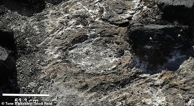 T.Rex's ancestors lived on the Isle of Skye 167 million years ago