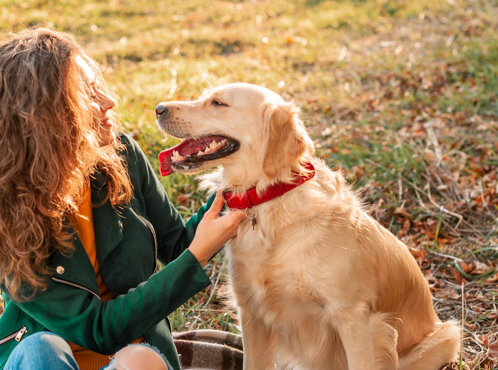 16 Signs Your Dog Needs More Routine