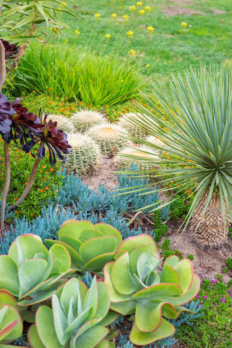 The Invincible Yard: 25 Ideas for Lazy Landscaping