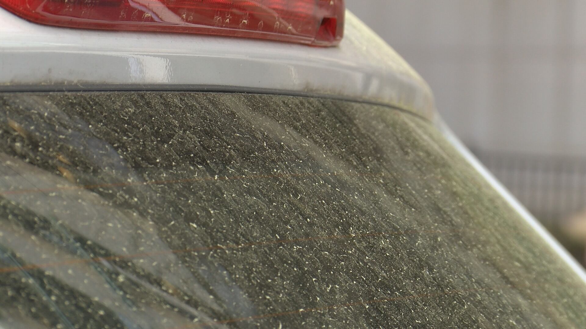 What is the pollen count in Atlanta today? | Daily tracker for spring 2025