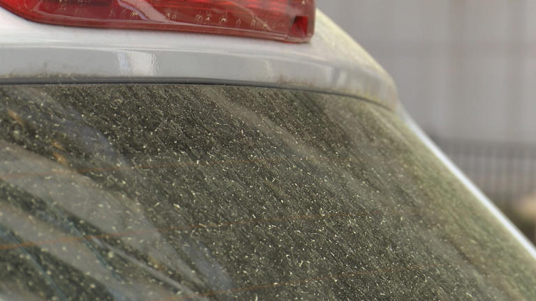 What is the pollen count in Atlanta today? | Daily tracker for spring 2025