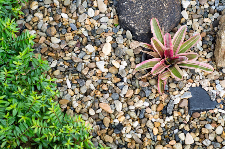 The Invincible Yard: 25 Ideas for Lazy Landscaping