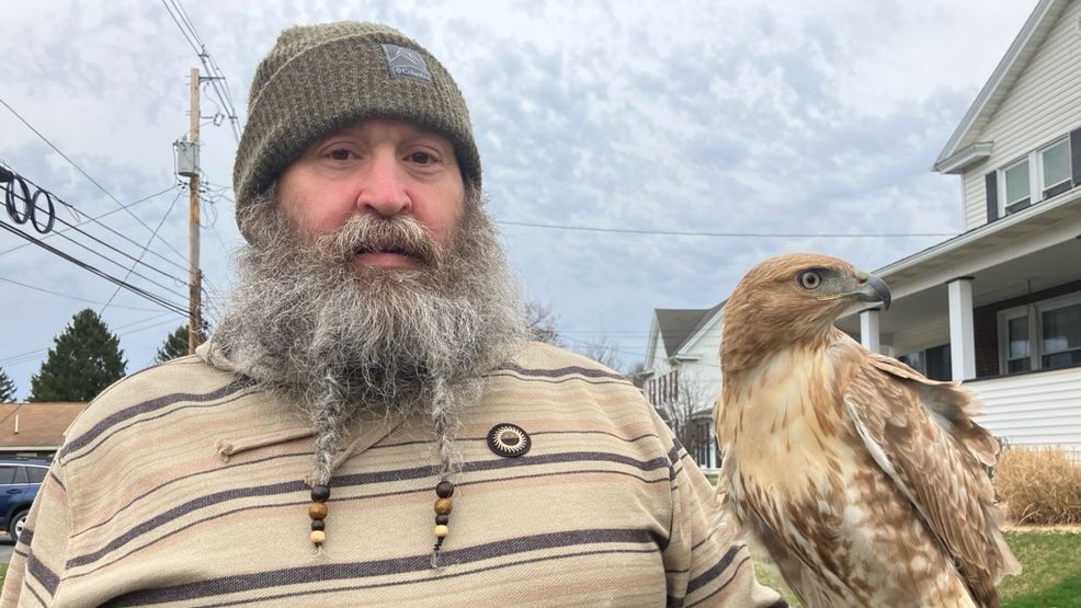 'I heard bells:' Centre County falconer reunited with lost Red-tailed hawk