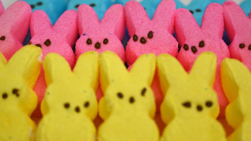 Earn $1K to eat Peeps — here’s how