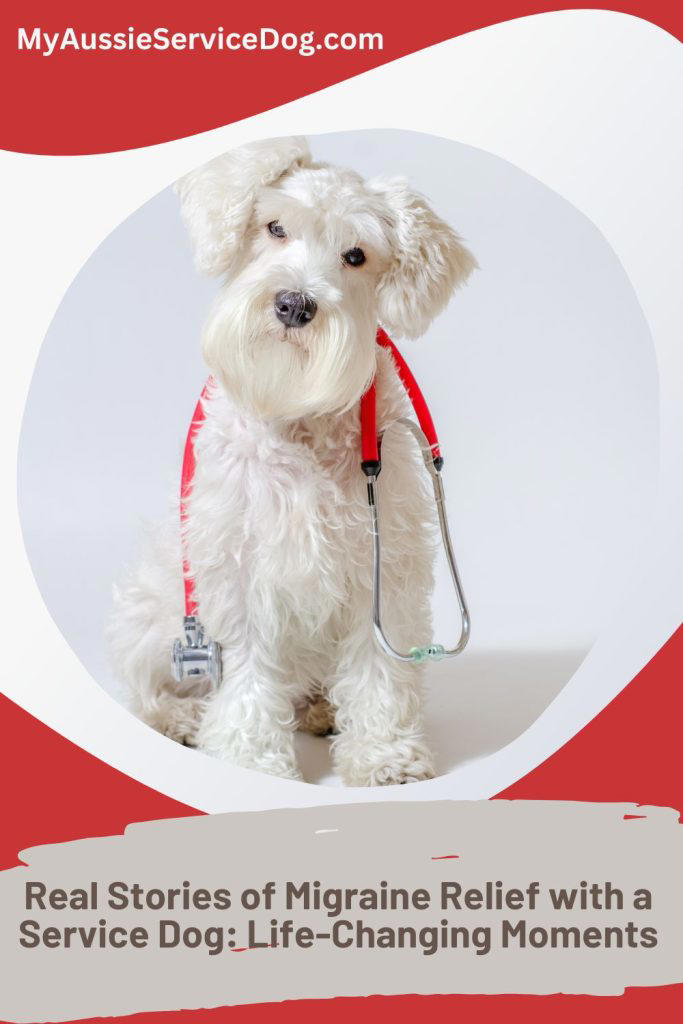 Real Stories of Migraine Relief with a Service Dog: Life-Changing Moments