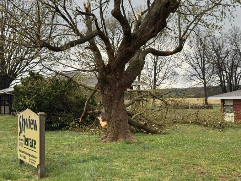Strong winds, storm causes damage in Houston