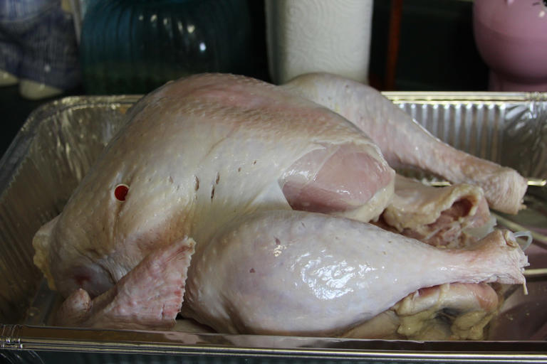 Can Dogs Eat Spam? A Clear and Knowledgeable Answer