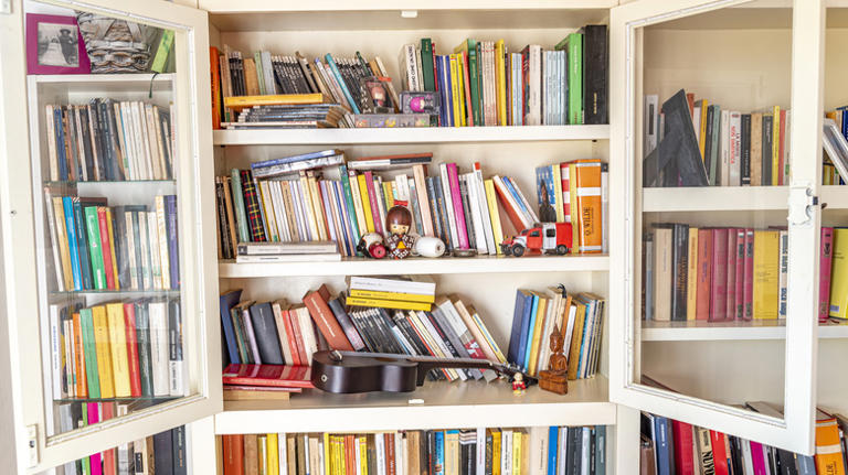 Organize And Style Your Bookshelf With An Aesthetically Pleasing Method
