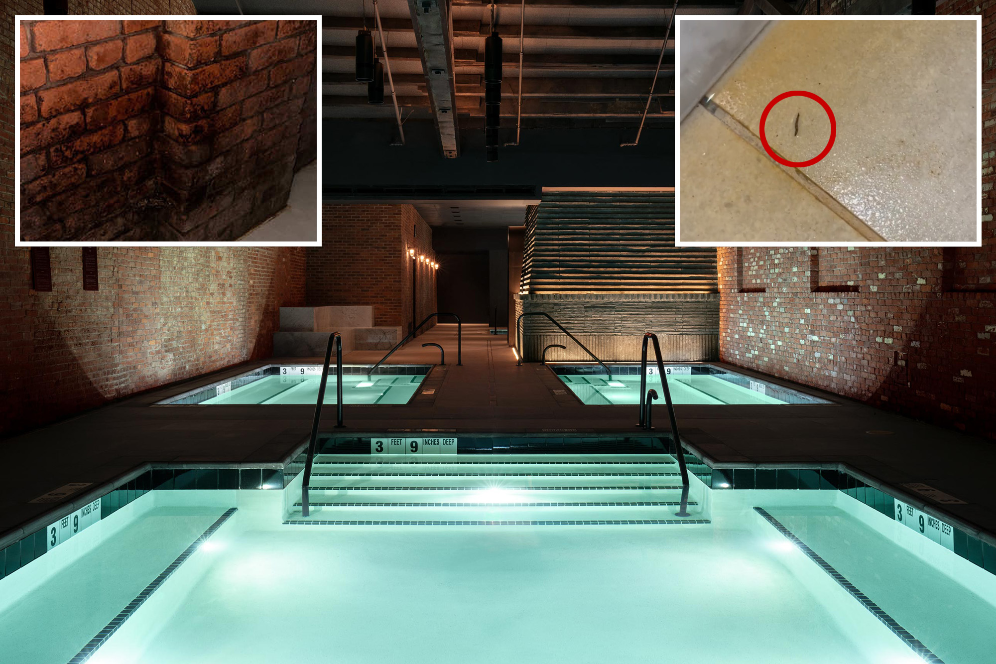 Trendy NYC bathhouse plagued by grime, mold and worms, ex-workers say ...