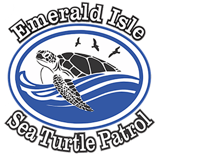 Emerald Isle urges lights off at night for turtle nesting season