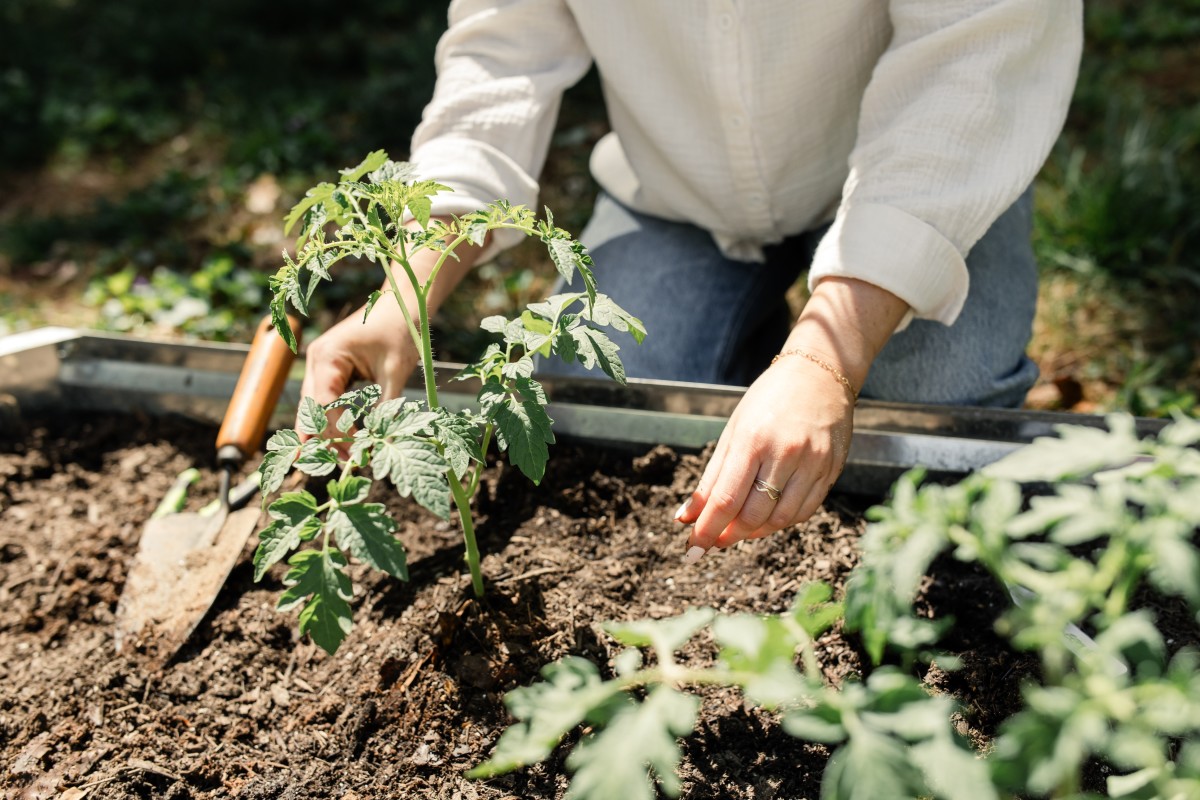 This Smart Gardening Trick Helps Your Plants Grow Better—Here’s How to ...