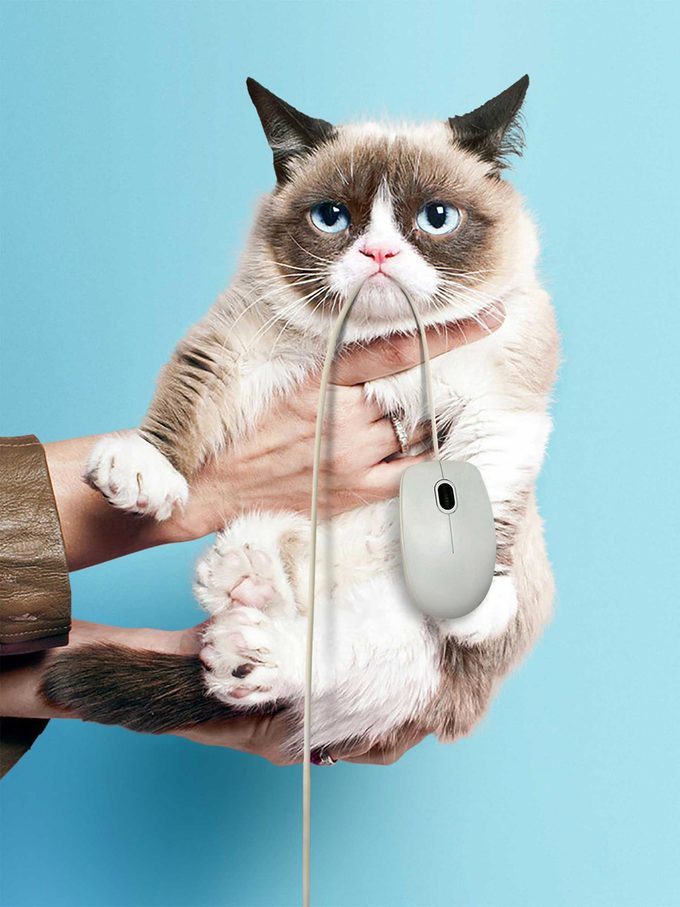 25 of the Funniest Jokes on the Internet