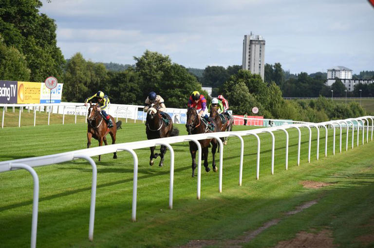 Hamilton Park Racecourse announces record-breaking prize money for 2025 ...