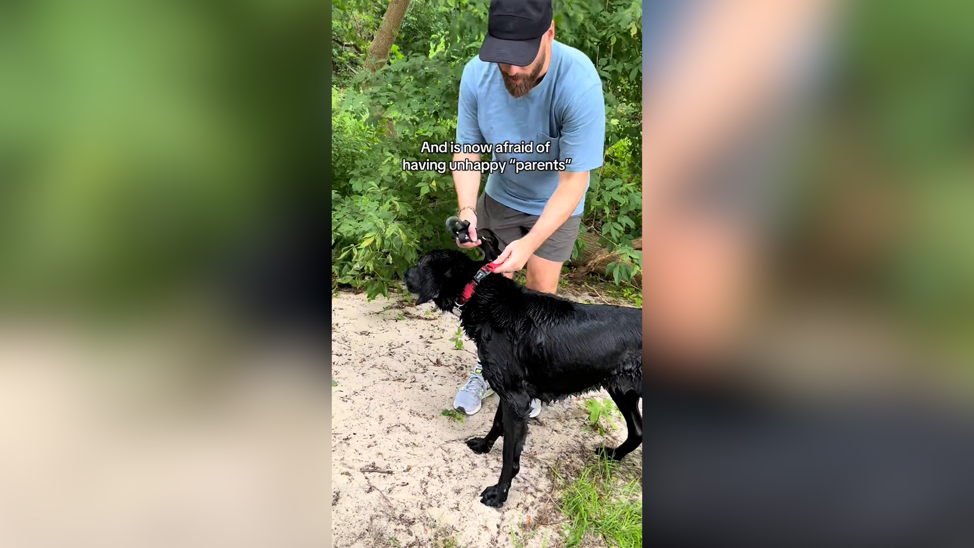 Dog Thinks She’s In Trouble, Hatches ‘Sneaky’ Plan To Avoid Consequences