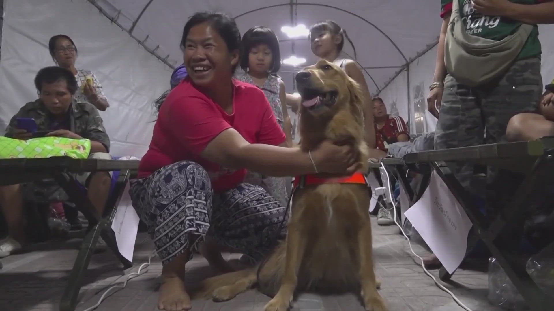 Rescue dogs bringing comfort to quake survivors in Asia