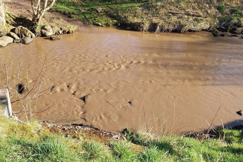 Environmental watchdog probing 'pollution spill' into historic Bannock Burn