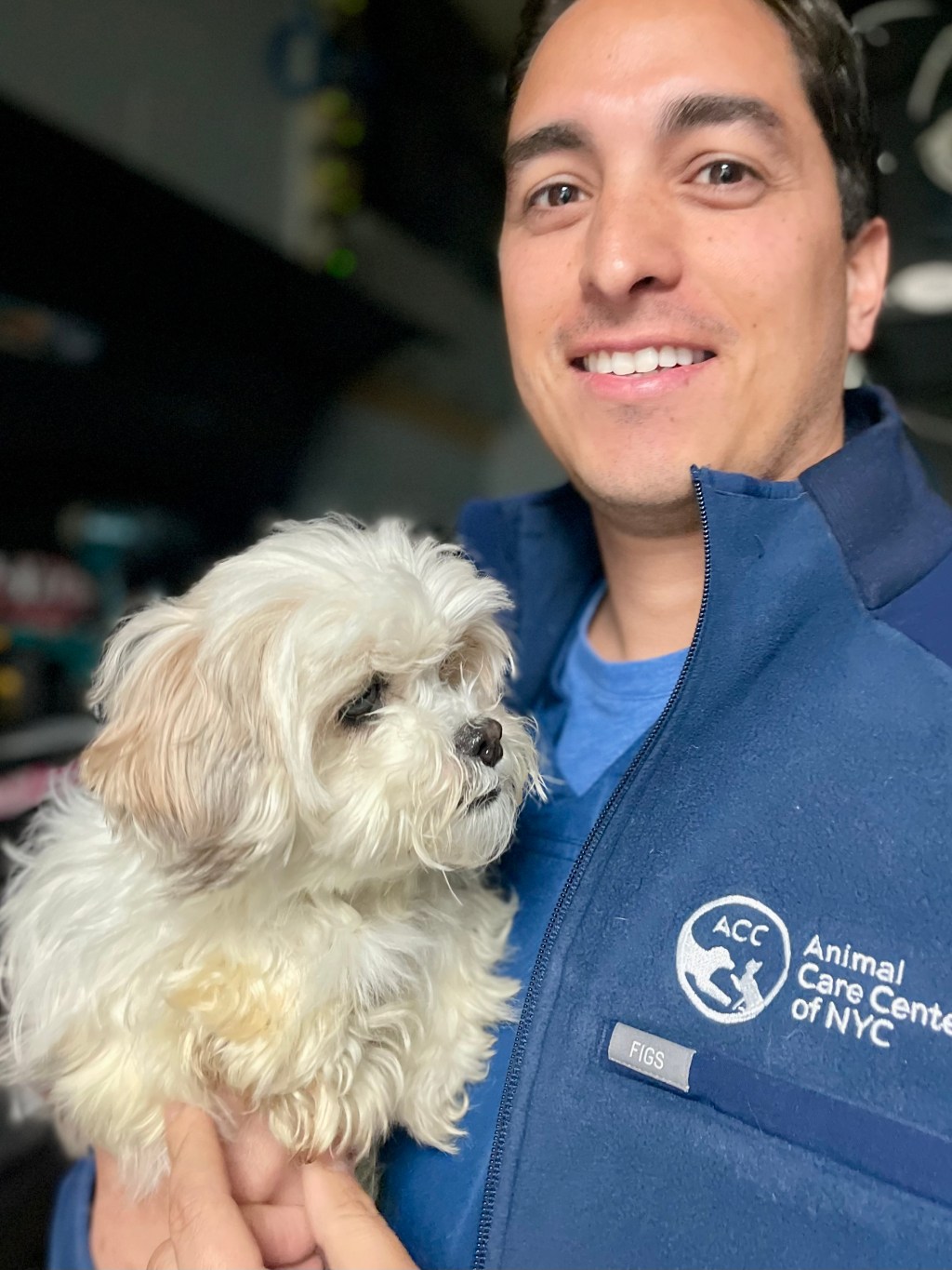 NYPD Harbor heroes recall saving pup from frigid East River with ...