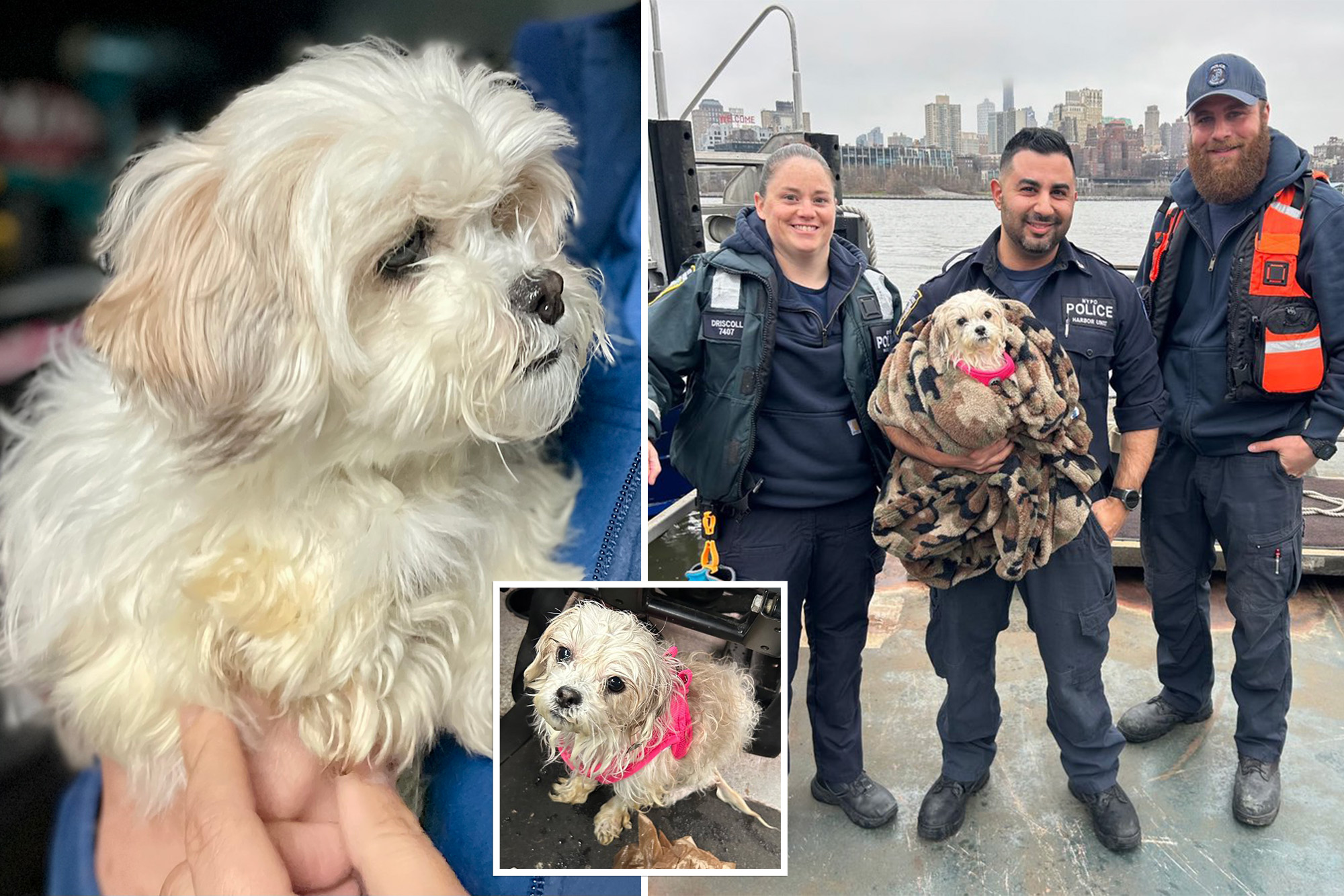 NYPD Harbor heroes recall saving pup from frigid East River with ...