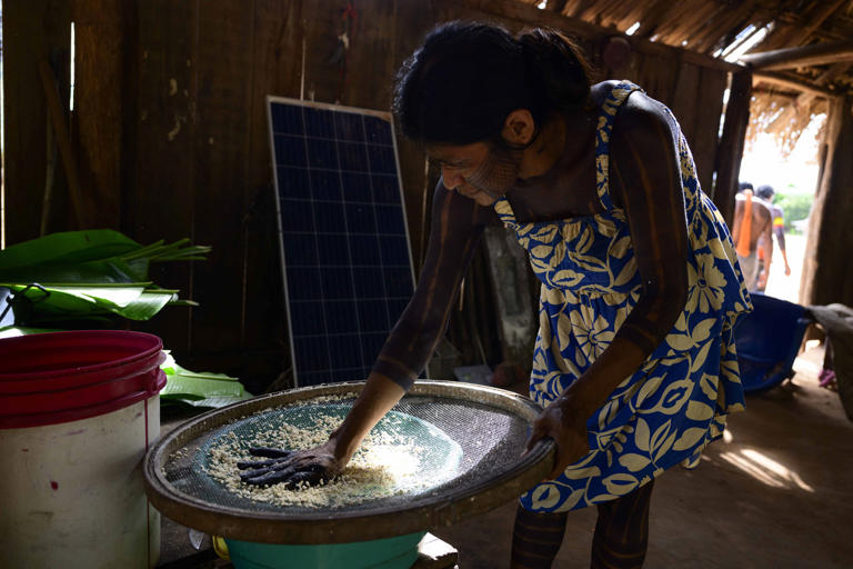 This village in Brazil is the last line of defence in a dying jungle