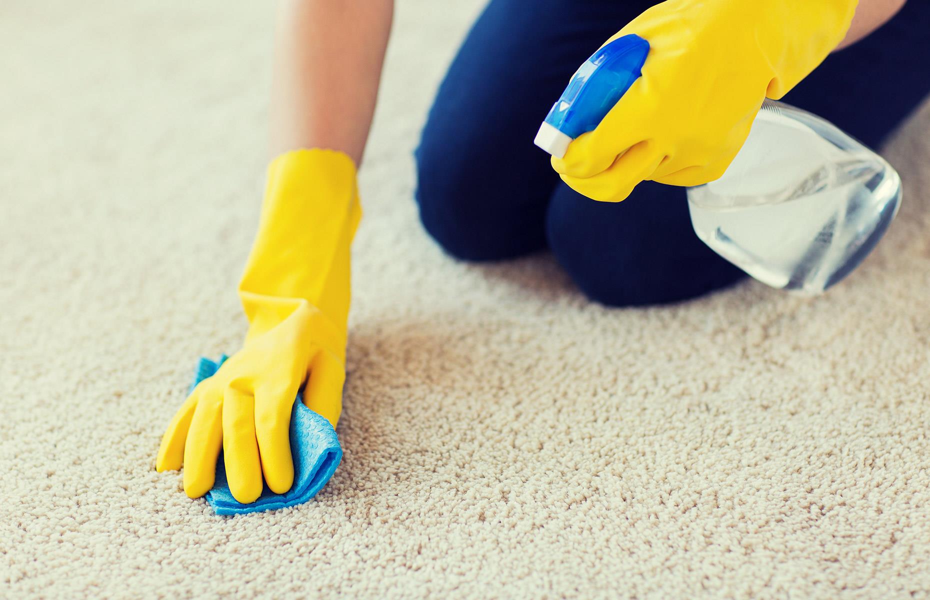 22 common household myths that are actually damaging your home