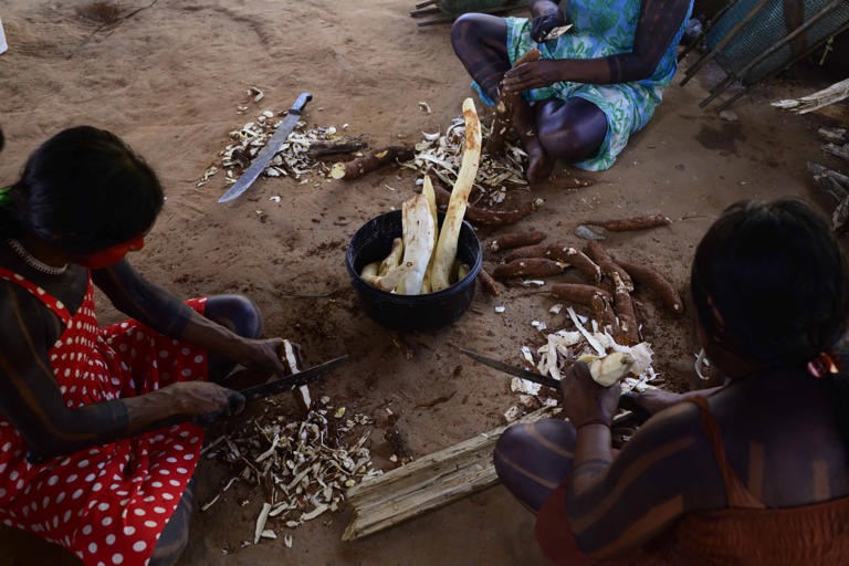 This village in Brazil is the last line of defence in a dying jungle
