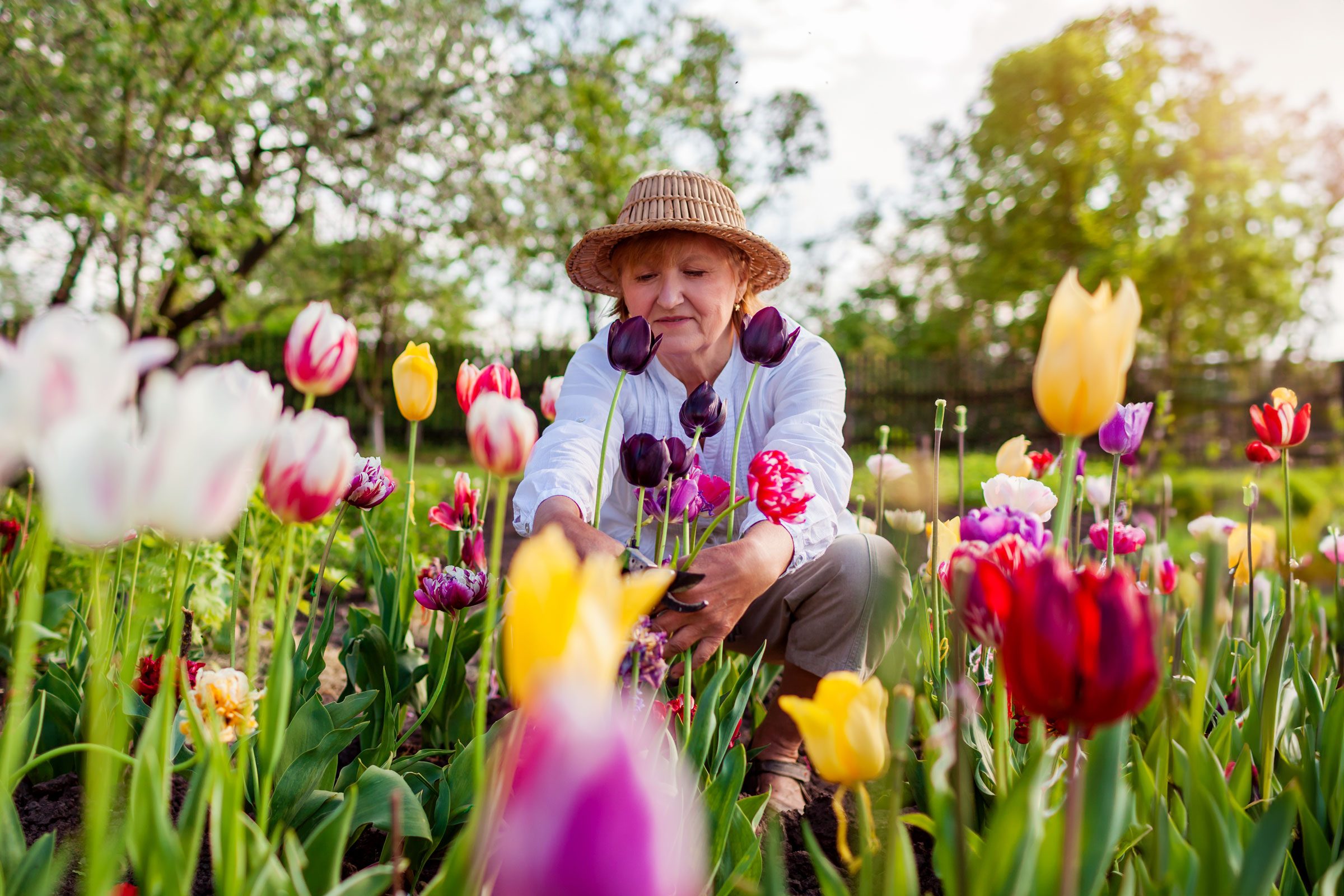 April holidays and observances to celebrate year after year