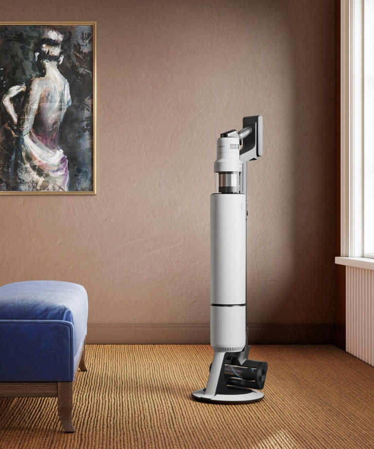 Pet vacuums vs. regular vacuums – what's the difference, and which do ...