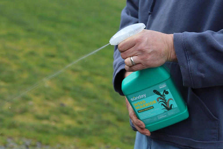 Our Favorite Pet-Safe Weed Killer Is Easy to Apply and Effective