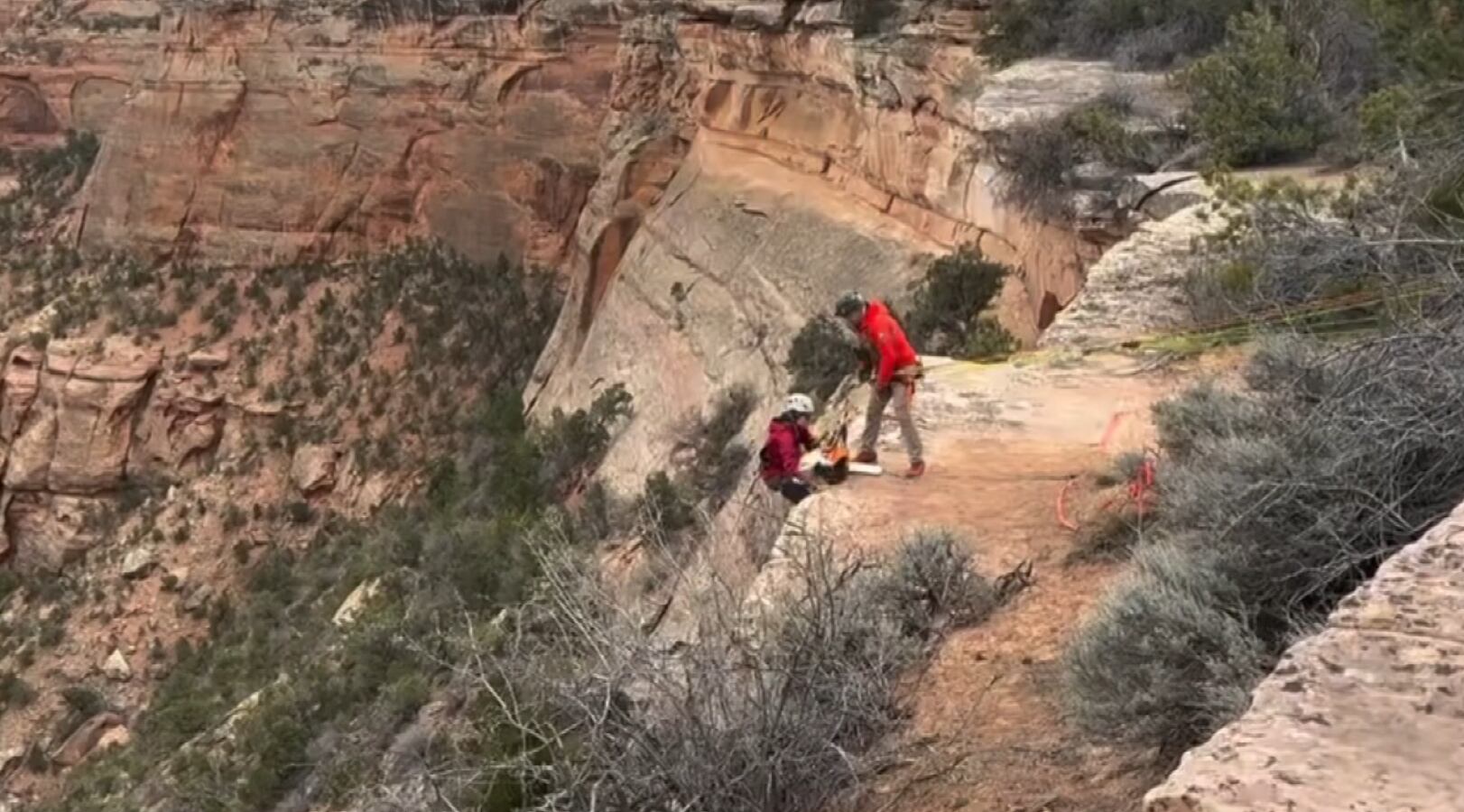 Dog saved after falling 100 feet off National Monument