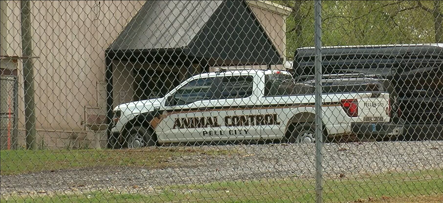 Greater Birmingham Humane Society now in charge of Pell City Animal ...