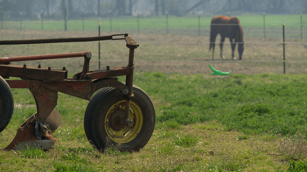 Rebuild or sell to developers? WNC farmers face uncertain future after ...