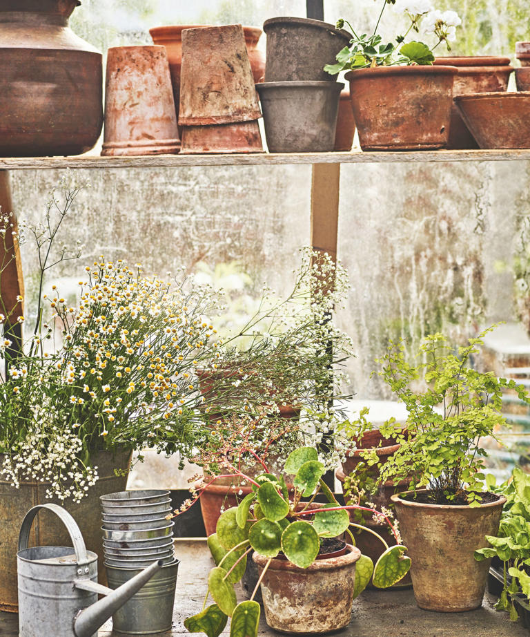 This genius, eco-friendly hack for making your own plastic-free plant ...