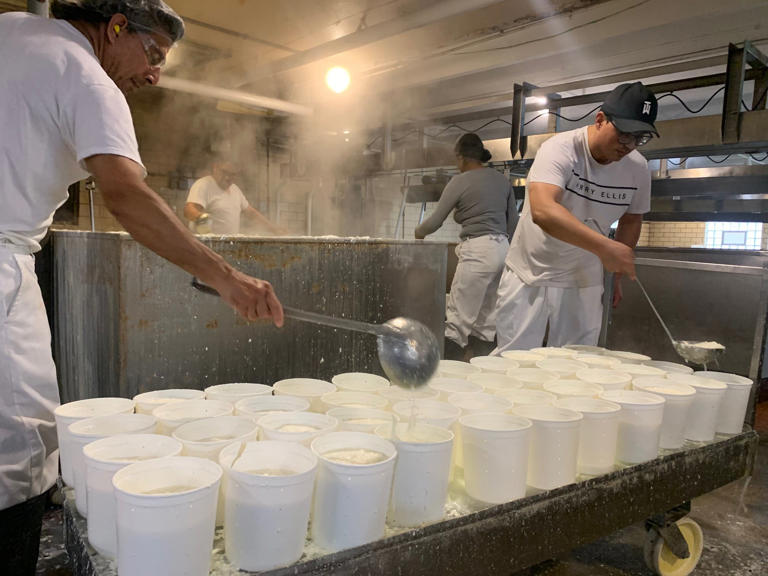 Chellino Cheese Co: 'We Were Going Up Against Everybody In The World'