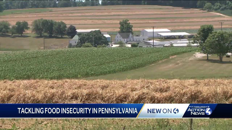 Federal funding cuts spark concerns over food insecurity in PA