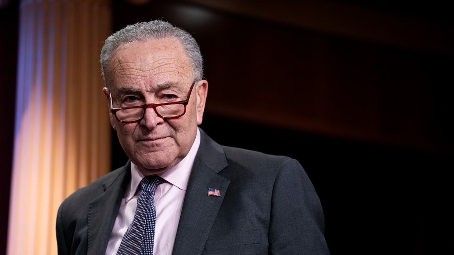 Trump, Musk protest organizer praises Booker, knocks Schumer