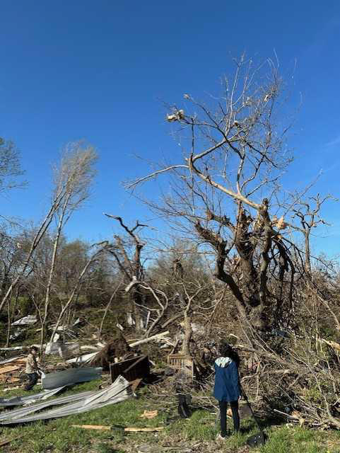 EF-2 tornado in Pilot Grove, Missouri, among three confirmed tornadoes ...