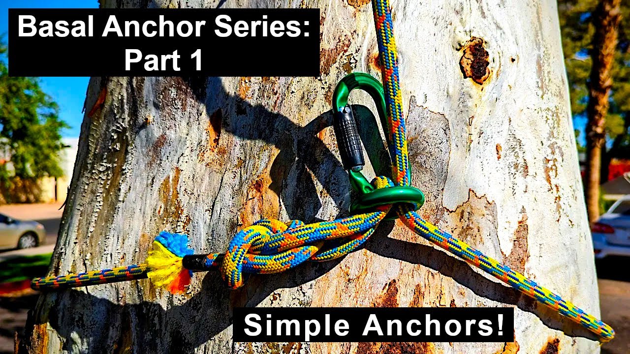 Basic BASAL ANCHORS for Tree Climbing - BASAL ANCHORS Pt. 1