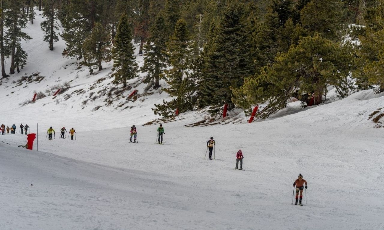 Excursión familiar acaba en tragedia: niña de 7 años muere al caerle ...