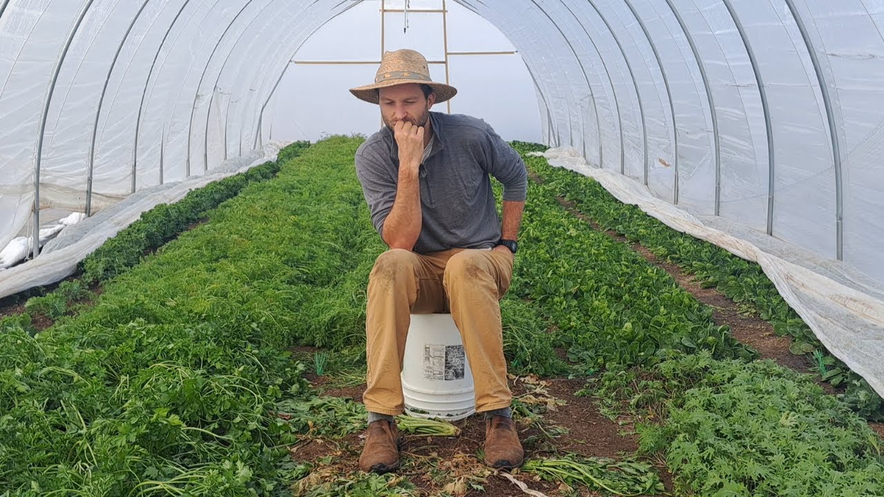 5 Reasons Why I Grow Food