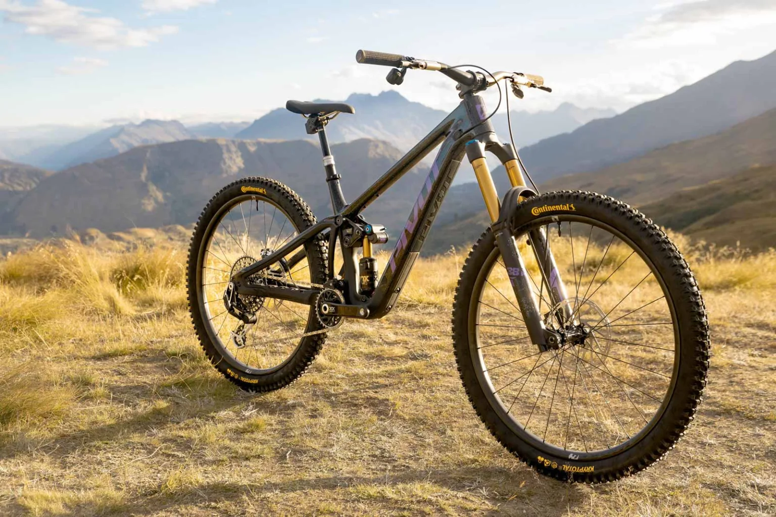 Pivot’s 2025 Firebird Gets Updated Geo and Suspension, Plus Plenty of ...