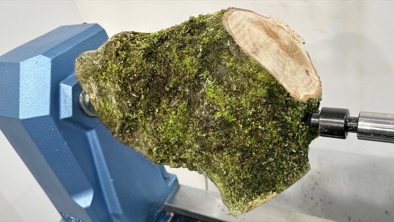 Torneado en madera - Encontrado en el bosque convertido en una obra de ...