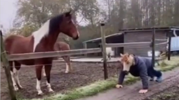 Indossa una maschera da cavallo davanti al cavallo (che lo guarda ...