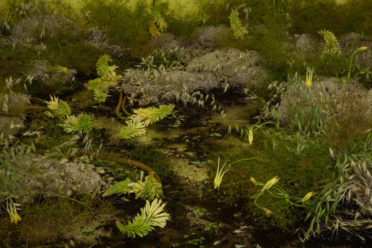 Required Reading: ‘Emily Thompson Flowers’ Captures the Florist’s Wild ...