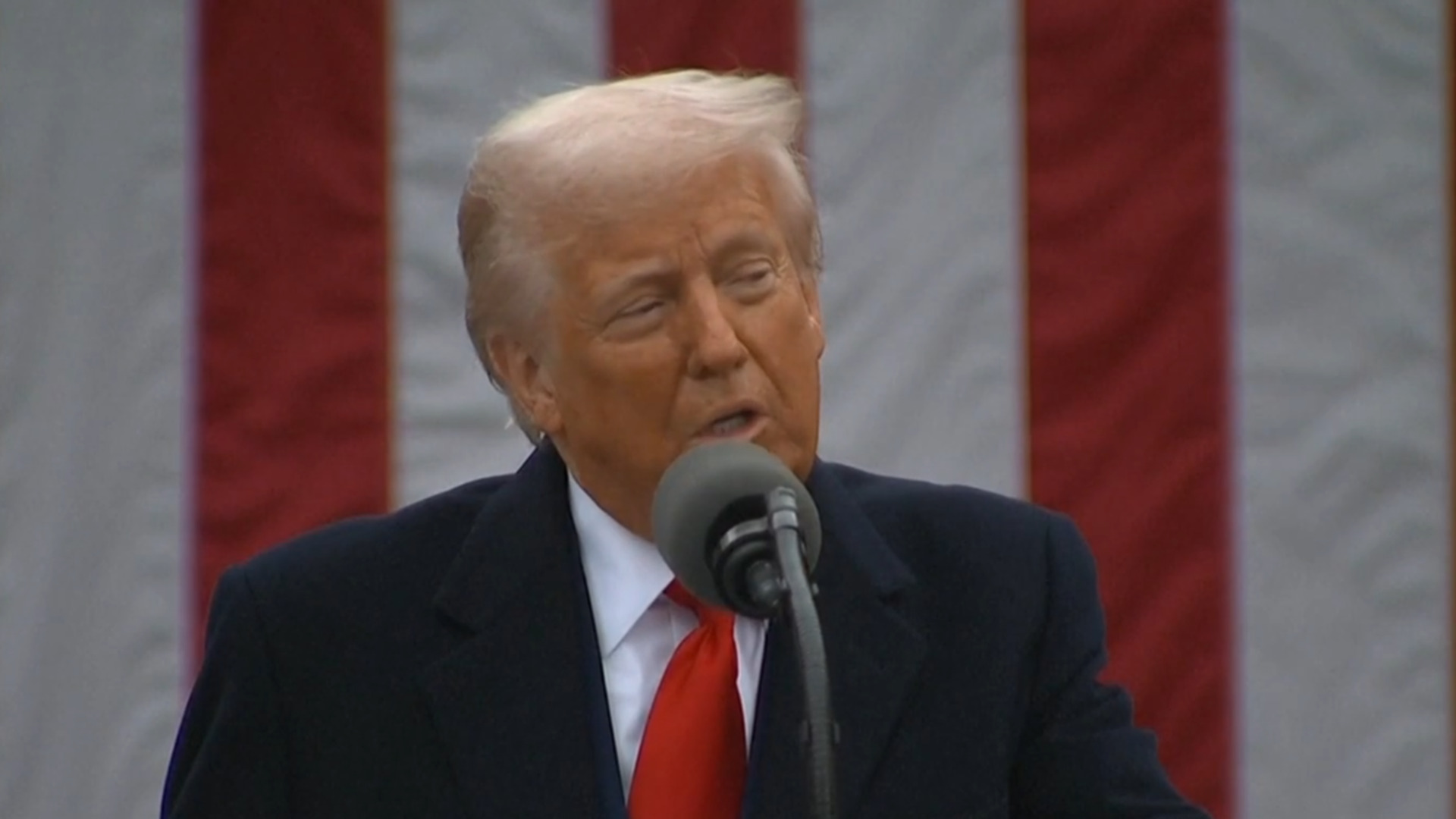 Cattle Australia Chair claims Donald Trump’s tariffs ‘do not make sense’