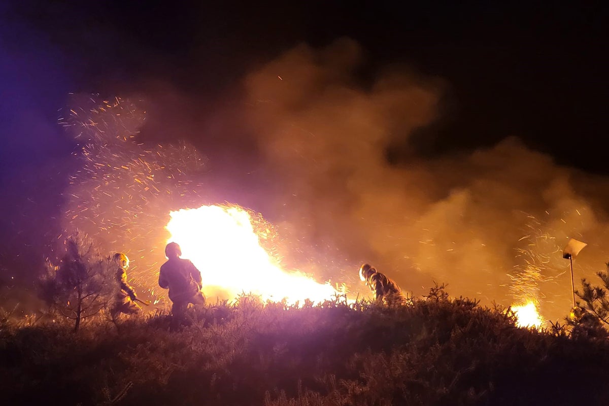Record heat sparks thousands of wildfires across England