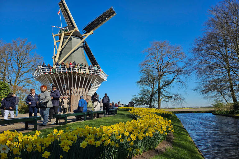 Flower lovers and influencers flock to the tulip vistas at an iconic ...