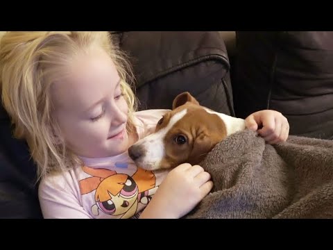 Puppies Fall Asleep in Girl’s Arms